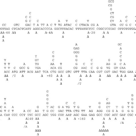 Single Base Error Spectrum Of Dpo4 The Lacz Complementation Sequence Download Scientific