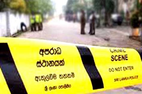 கொழும்பில் கொடூரம் இளைஞர் கைது ஜே வி பி நியூஸ்