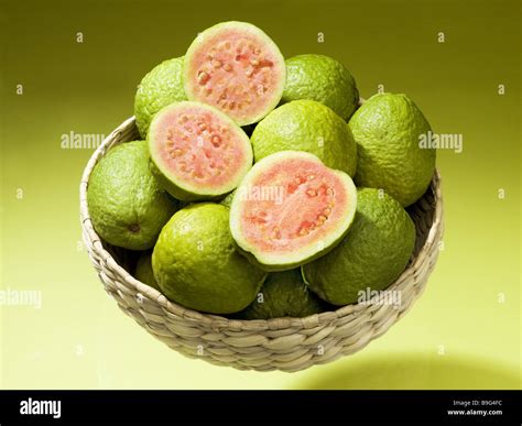 Basket Guaven Completely Bragged Fruit Basket Myrtle Plants Fruit