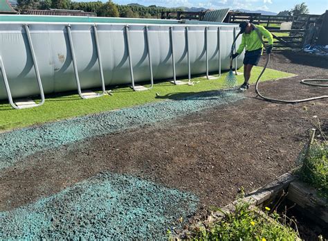 Discovering When To Expect The First Shoots Of Grass With Hydroseeding