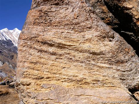 Molasse Geologie Definition At Georgia Challis Blog