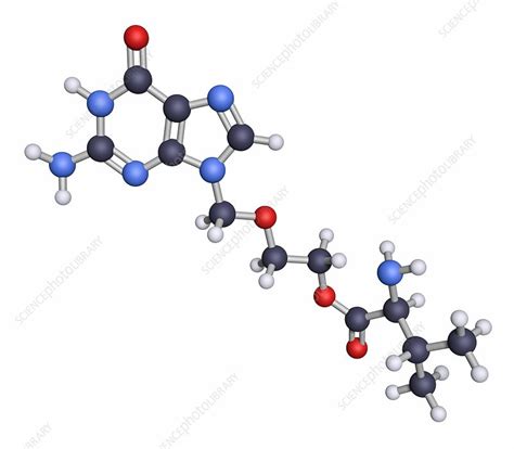 Valacyclovir Antiviral Drug Molecular Model Stock Image C054 6003 Science Photo Library