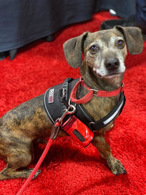 Daniel Russell Posted On Linkedin