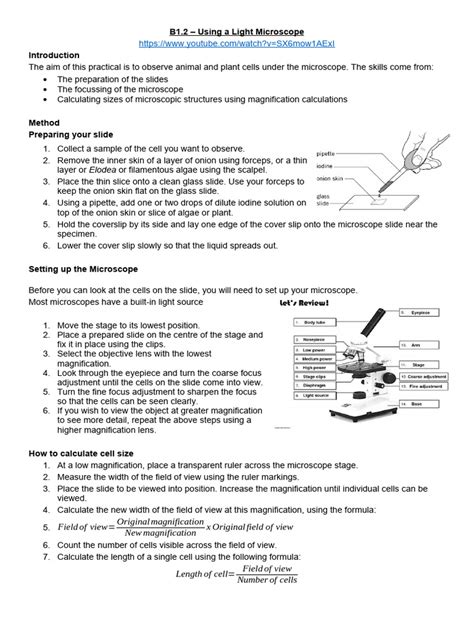 Gcse Combined Rp Methodology Video Links Pdf Carbohydrates