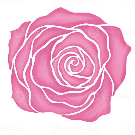 Rose Drawing No Background At Tyson Bathurst Blog