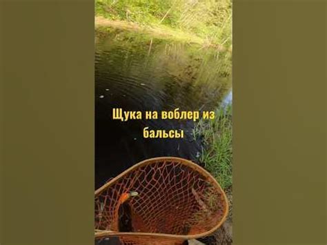 Щука на самодельный воблер из бальсы. Скоро полное видео #щука #река # ...