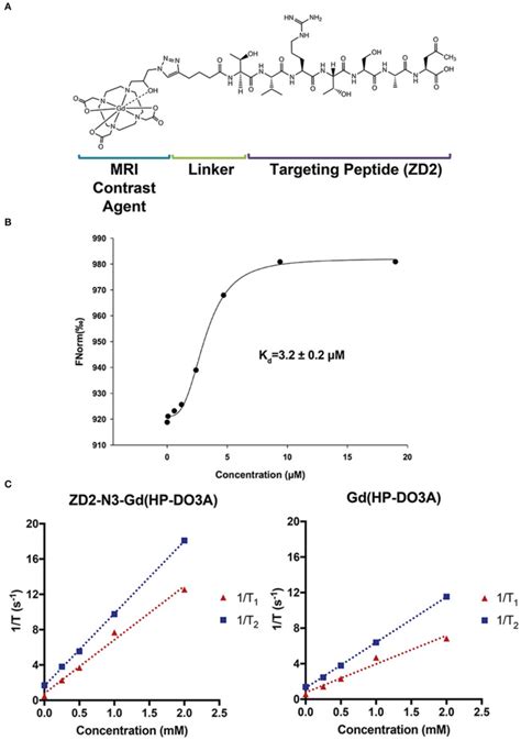 Magnetic Resonance Molecular Imaging Of Extradomain B Fibronectin
