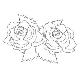 Roses Illustration Black And White Clipart Vector Free Download