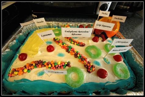 9 Plant Cell Cake Model Ideas Plant Cell Cake Plant Cell Plant Cell