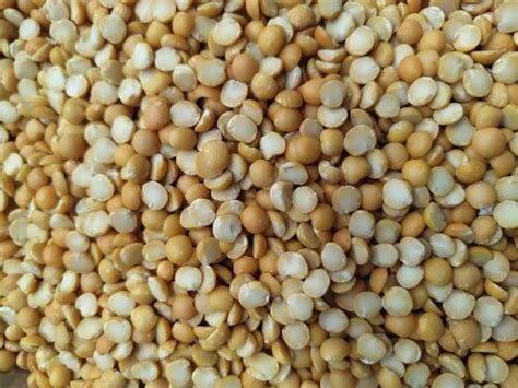 Vatana Dal Packaging Size 30 Kg At ₹ 53 Kg In Navi Mumbai Id 2853999990533