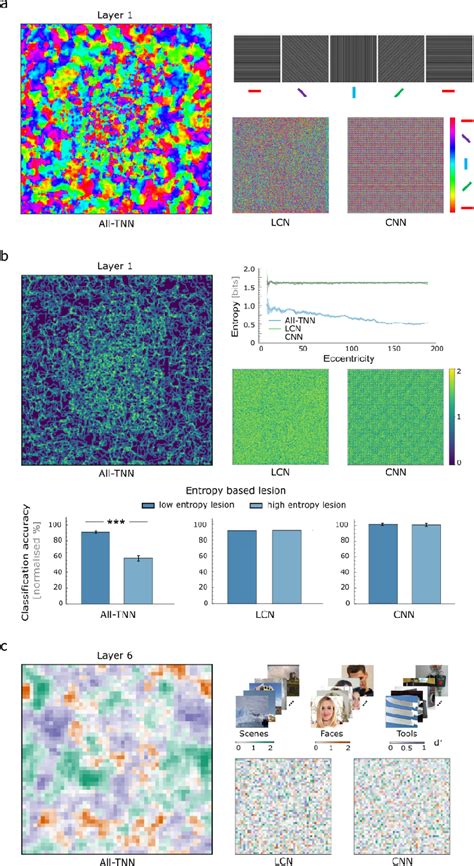 Figure 2 From End To End Topographic Networks As Models Of Cortical Map Formation And Human