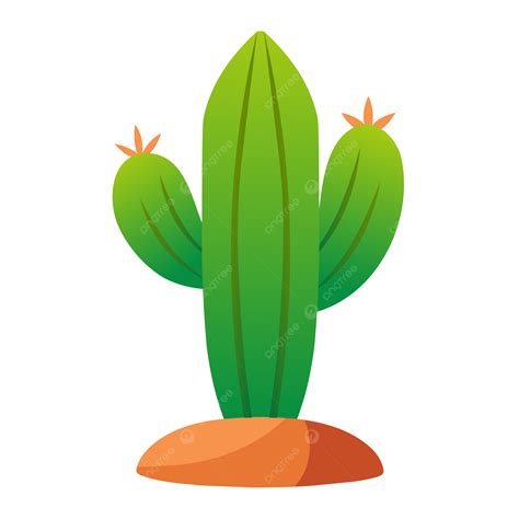 حديقة الصبار الخضراء المتجه صبار سينكو دي مايو يوم الاجازة Png والمتجهات للتحميل مجانا