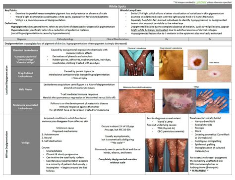 Pa Dermatology Handbook Icd 10 And Cpt Code List Etsy