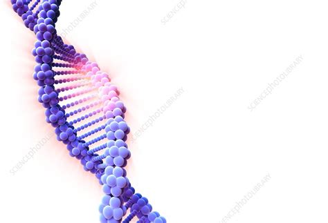 Crispr Cas9 Gene Editing Illustration Stock Image C029 9731