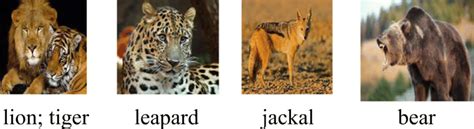 Example Of Users Query With Multiple Possible Interpretations