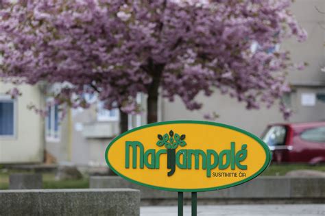 Marijampolės Savivaldybė Marijampolėpilnagyvybės Vasarosakvarelės 🎶🌞🎨𝐕𝐀𝐒𝐀𝐑𝐎𝐒 𝐀𝐊𝐕𝐀𝐑𝐄𝐋𝐄̇𝐒