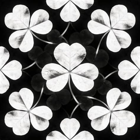 Free Lucky Clover Pattern Image Clover Botanical Pattern Download