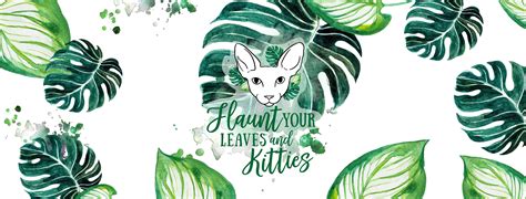 Naked Night Magic Added A New Photo Naked Night Magic