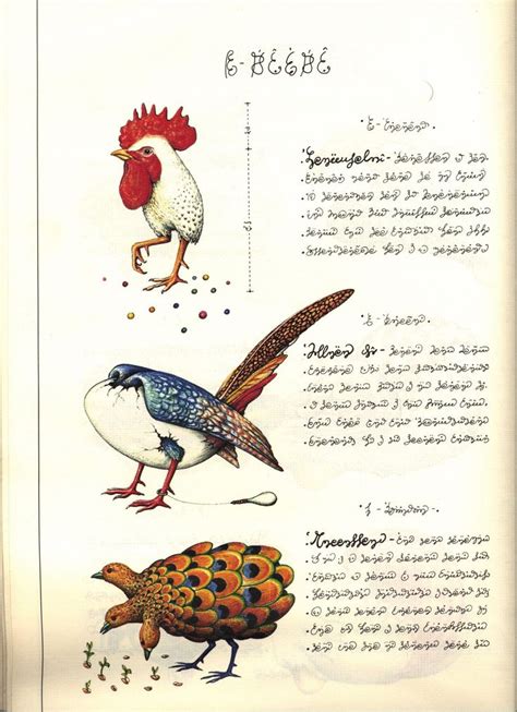Luigi Serafini Codex Seraphinianus Codex Seraphinianus Codex
