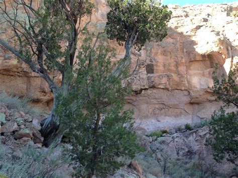 Southern New Mexico Explorer Broad Canyon Wilderness Sierra De Las