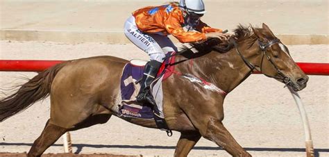 Simone Altieri Something From Nothing Ozrace