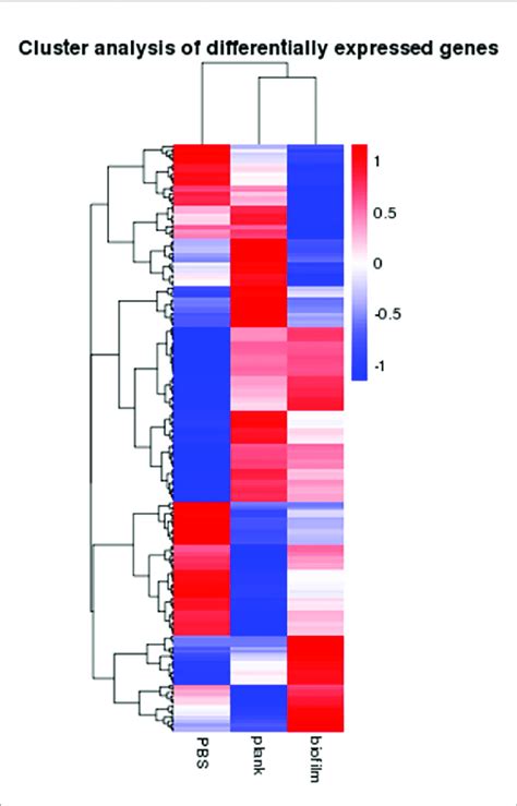 Cluster Analysis Of Gene Expression Differences The Heatmap Analysis