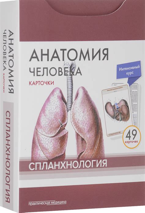 Шпаргалки по Анатомии – купить в интернет-магазине OZON по низкой цене