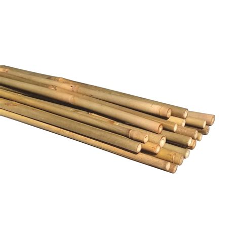 Bambu Cavo Tratado Para Artesanato 1mt X 30mm Kit Com 12 Unidades
