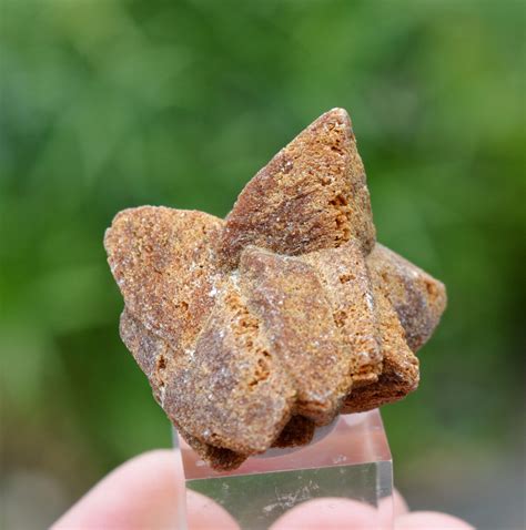 Calcite Pseudomorph After Ikaite Var Glendonite 26 Grammes Kola