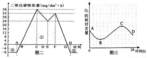 61．下图简要表示了光合作用和呼吸作用中的五个生理过程请回答 过程 A B C D E O2 Co2 Co2 ——青夏教育精英家教网——