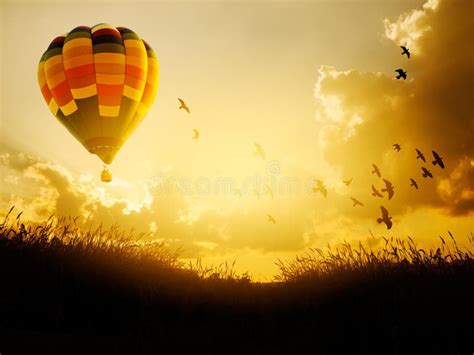 Hot Air Balloon Flying With Birds In Sunset Sky Stock Image Image Of