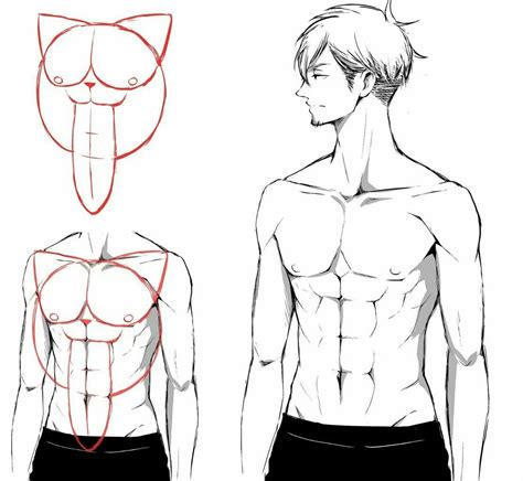 Anime Abs Drawing Reference At Anthony Griggs Blog