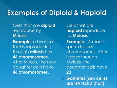 Ppt Cell Division Powerpoint Presentation Free Download Id 9369697