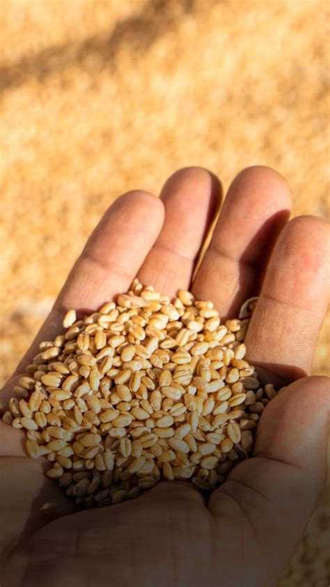 Web Stories Technology Business Lifestyle And Sports Visual Stories