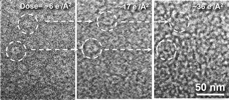 Evolution Of The Groel Sample In Liquid Cell As A Function Of Electron Download Scientific