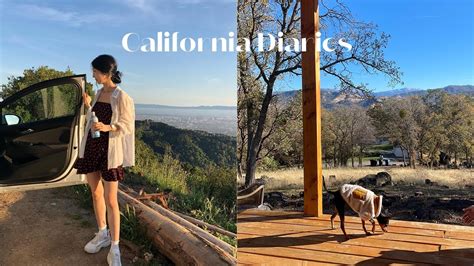 Vlog 강아지들과 떠난 요세미티 여행 Youtube