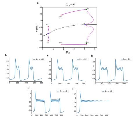 Bifurcation Analysis For L Type Ca Current Conductance