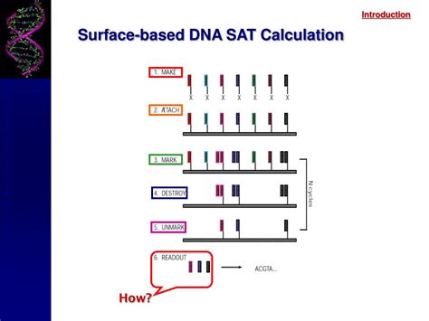 Ppt A Dna Computing Readout Operation Based On Structure Specific