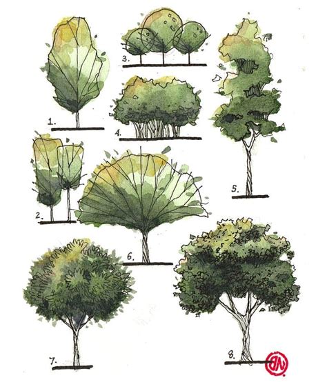 Ferdy Sabono On Instagram Tree Sketch Series 1 Sketchbook Sketchers Sketch