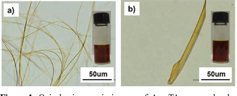 Figure 1 From Photochemical Phase Transition Behavior Of Supramolecular Polymer With A Triazine