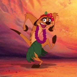 Lion King Timon Hula