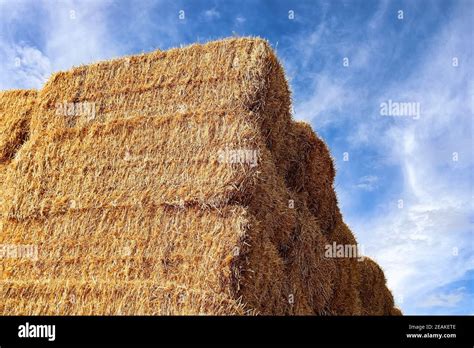 Square bale stack hi-res stock photography and images - Alamy