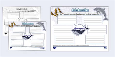 Echolocation Mind Map Twinkl Science Profesor Hizo