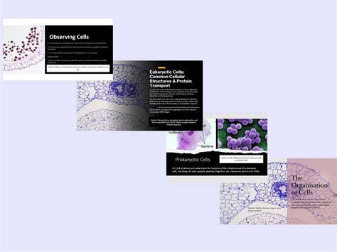 Cell Structure Teaching Resources