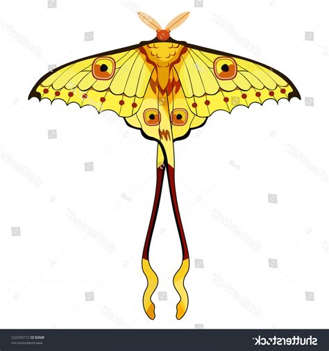 Moth Vector At Collection Of Moth Vector Free For