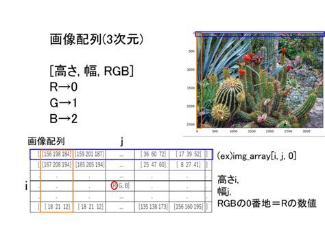 Pythonで画像処理 画像配列とRGBを理解しよう