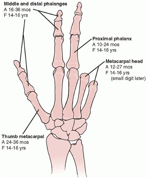 Associated Movements Teachme Orthopedics