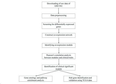 Flow Chart Of Data Preparation Processing Analysis And Validation Download Scientific