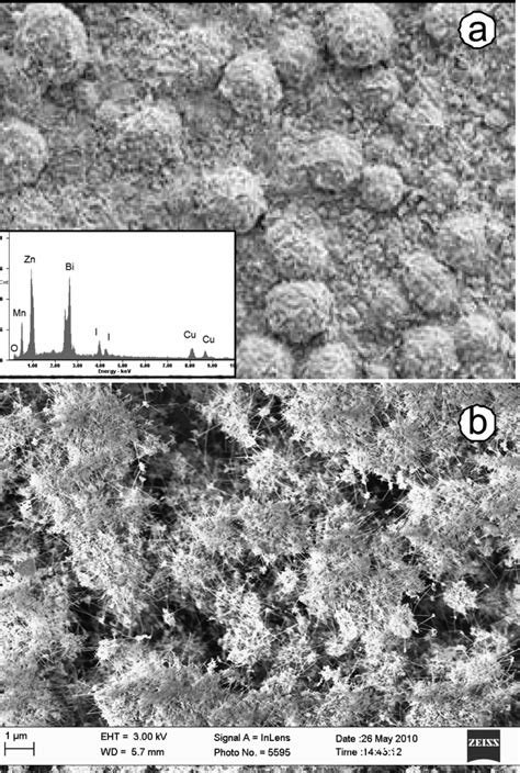 Sem Micrograph Of Zn 1 X Cu Mn X O Films Showing The Morphology At
