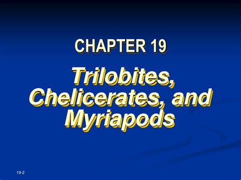 Ppt Classification Phylum Arthropoda Chapter 19 Subphylum Trilobita